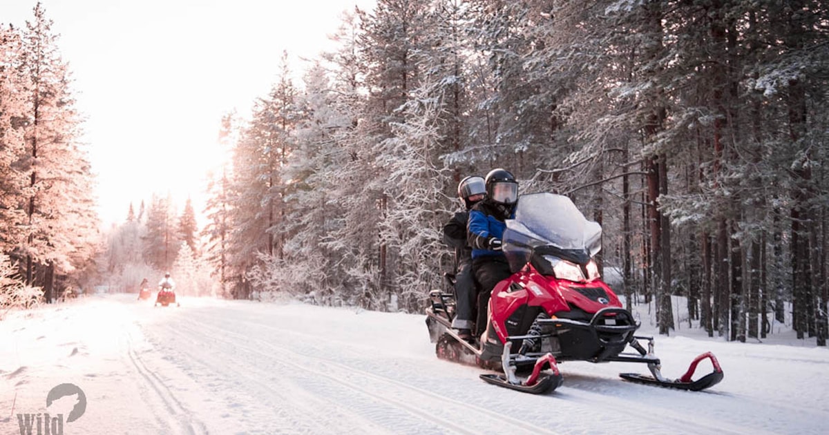 Rovaniemi: Easy Snowmobile Safari | GetYourGuide