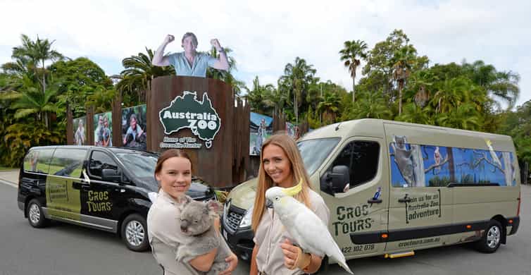 From Brisbane: Australia Zoo Transfer and Entry Ticket | GetYourGuide
