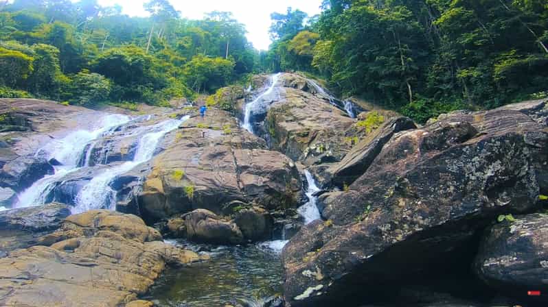 Sri lanka jungle trek/hike, Sinharaja 5 waterfalls hike | GetYourGuide