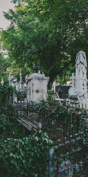 Bucharest: 3-Hour Dark History Tour with a Local | GetYourGuide