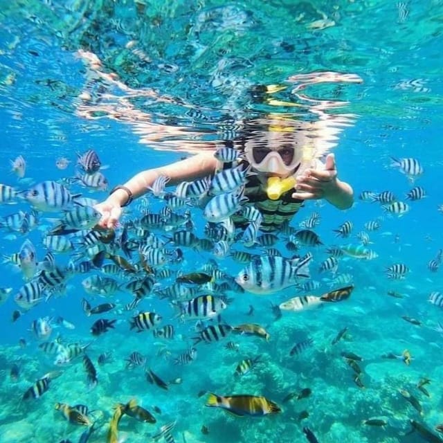 SNORKELING AT BLUE LAGOON + MONKEY BAR AND BEST WATERFALL | GetYourGuide