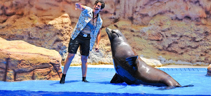 The BEST Brisbane Aquatic shows 2024 - FREE Cancellation | GetYourGuide