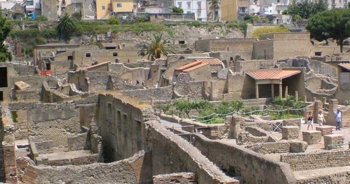 Naples: Ercolano & Mount Vesuvius Transfer with Winery Tour | GetYourGuide