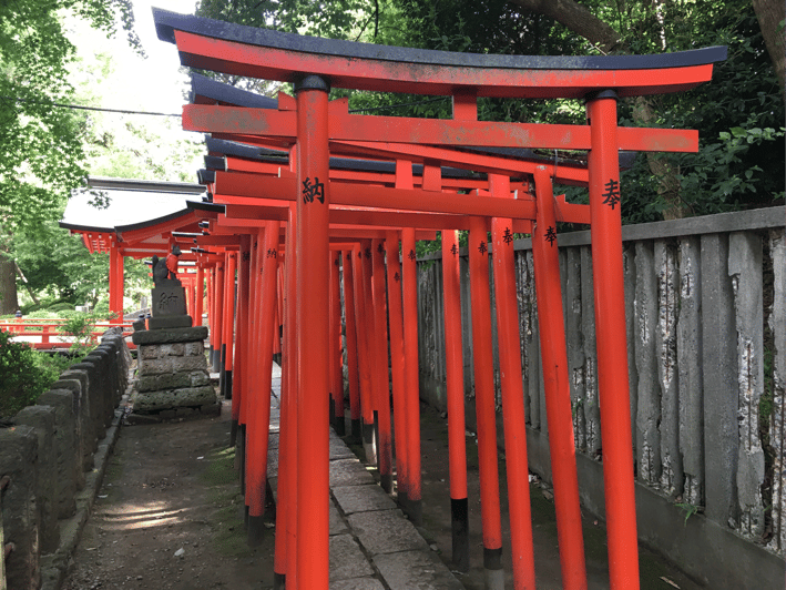 Yanaka & Nezu: Walking Tour in Tokyo's Nostalgic Old Towns | GetYourGuide