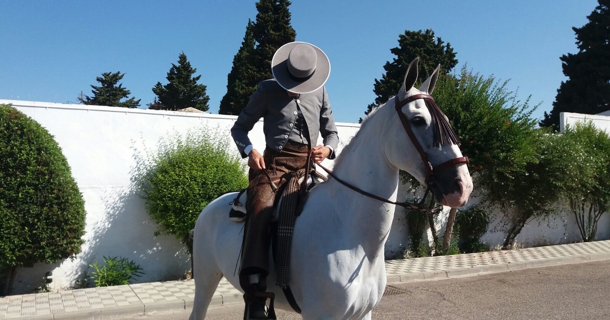 From Seville: Andalusian Horseback Ride | GetYourGuide