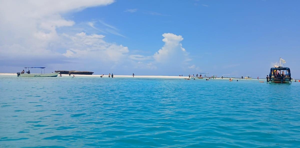 Mombasa: Wasini Dolphin Tour | GetYourGuide