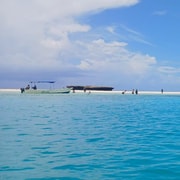 Mombasa: Wasini Dolphin Tour | GetYourGuide