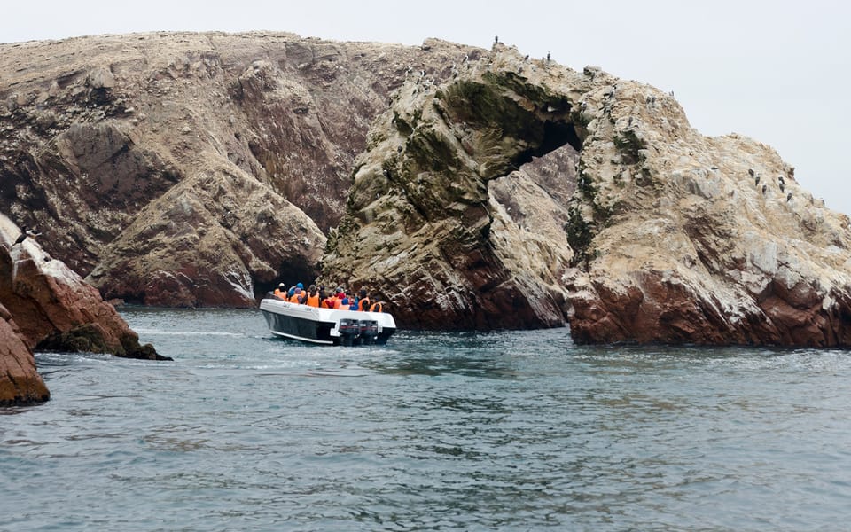 Ballestas Islands and Tambo Colorado from San Martin Port | GetYourGuide