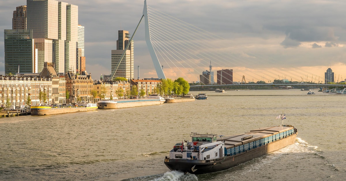 Da Amsterdam: Tour di Rotterdam e L'Aia in spagnolo | GetYourGuide