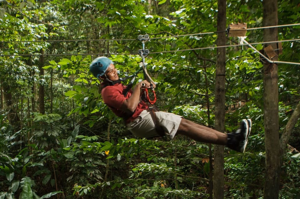 Rainforest Adv Zip line, Aerial Tram & Hiking tour Ultimate3 | GetYourGuide