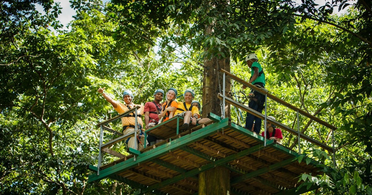 Rainforest Adv Zip line, Aerial Tram & Hiking tour Ultimate3 | GetYourGuide