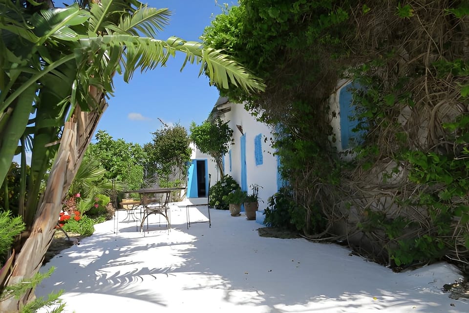 Tour a pie por la Medina de Tánger | GetYourGuide