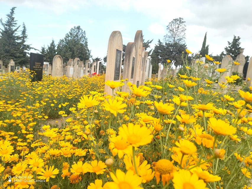 Welcome to Balakhani - the first oil village | GetYourGuide