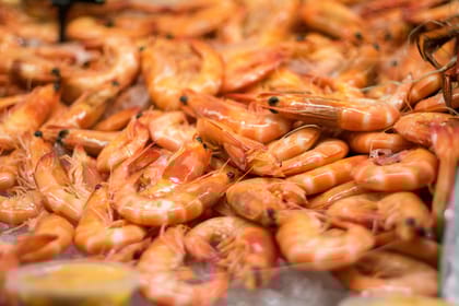 Mooloolaba: Seafood Lunch Cruise | GetYourGuide