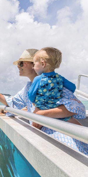 Moreton Island: Marine Discovery Cruise & Dolphin Feeding | GetYourGuide