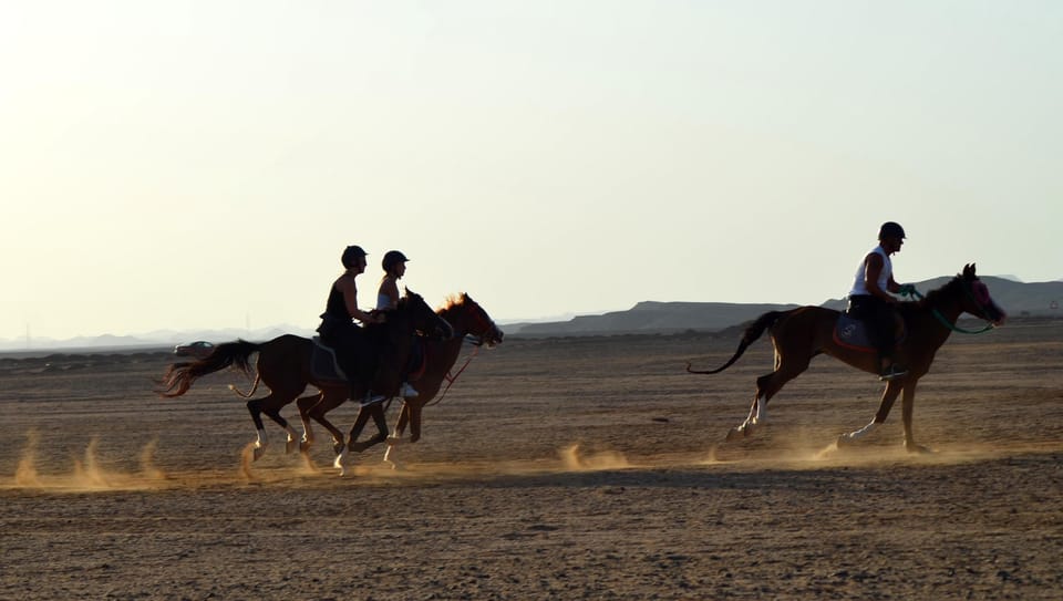 Marsa Alam: Sea and Desert Horse Riding Tour | GetYourGuide