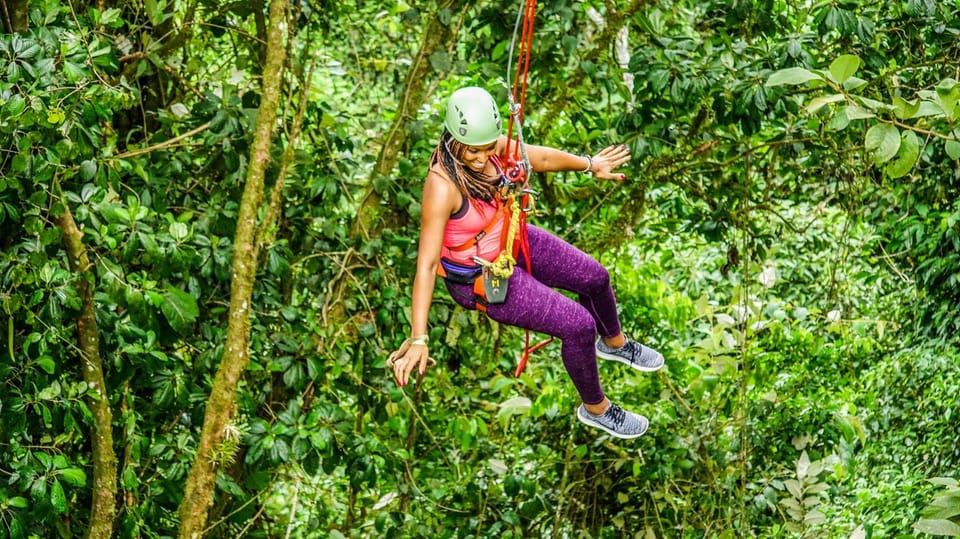 Aventura Canopy en el Arenal | GetYourGuide