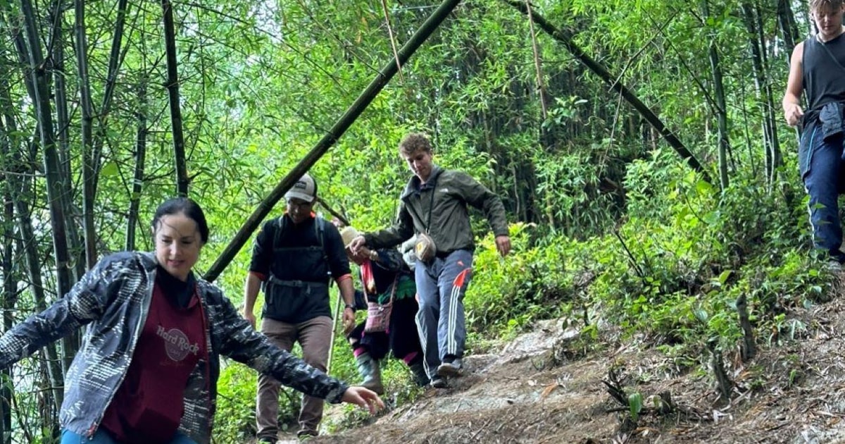 From Sapa - 1 day trek: walk through bamboo forest | GetYourGuide