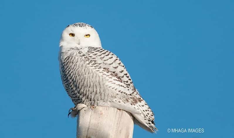 Day Trips from Saskatchewan | GetYourGuide