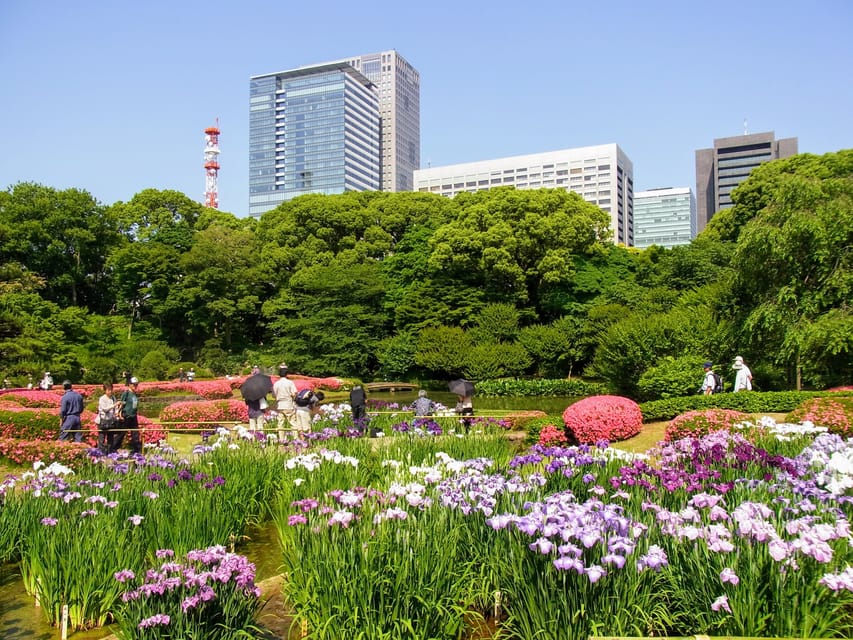 Tokyo: Morning Sightseeing Bus Tour | GetYourGuide