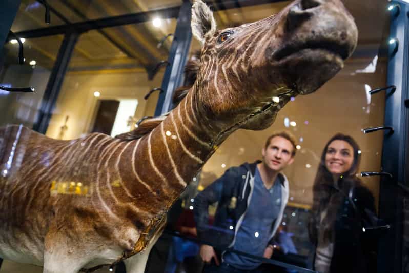 Berlin: Natural History Museum Entrance Ticket | GetYourGuide