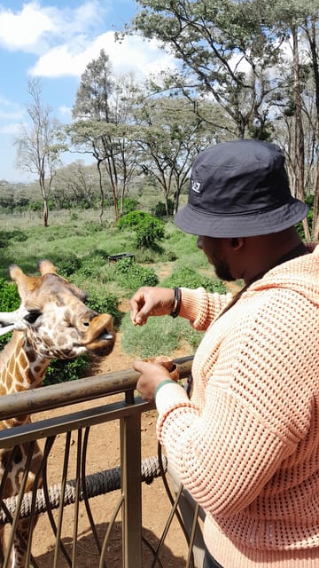 Giraffe center, David Sheldrick and Kobe Beads Tour | GetYourGuide
