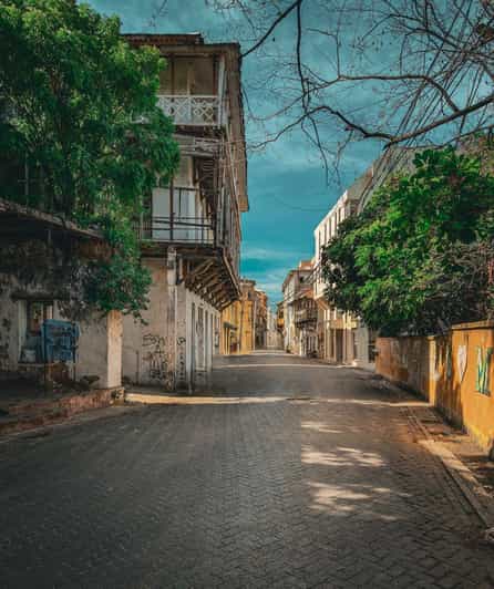 Μομπάσα: Ιστορία/Τέχνη/Άγρια Ζωή | GetYourGuide