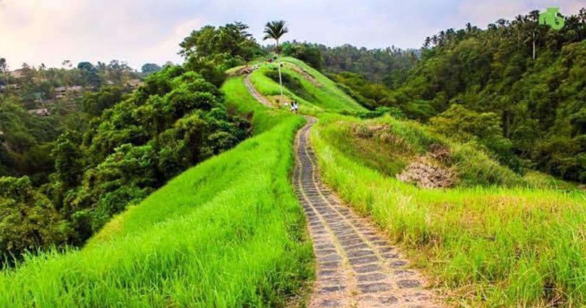 Ubud Tour : Ubud Higlight Culture,Tradition and Nature | GetYourGuide