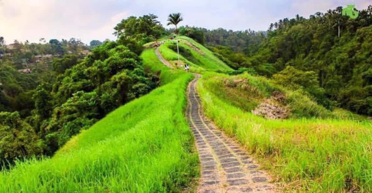 Ubud Tour : Ubud Higlight Culture,Tradition and Nature | GetYourGuide