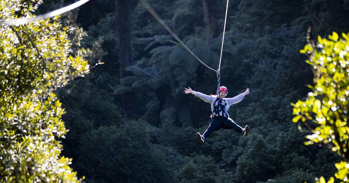Rotorua: Ultimate Zipline Forest Canopy Tour | GetYourGuide