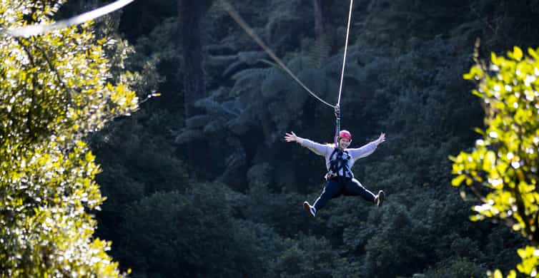 The BEST Rotorua Zip line adventures 2022 - FREE Cancellation ...