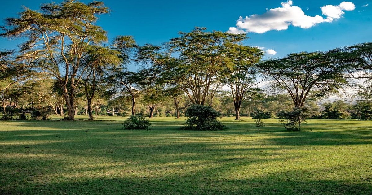 Din Nairobi: Safari de 7 zile în Masai Mara, Nakuru și Amboseli ...