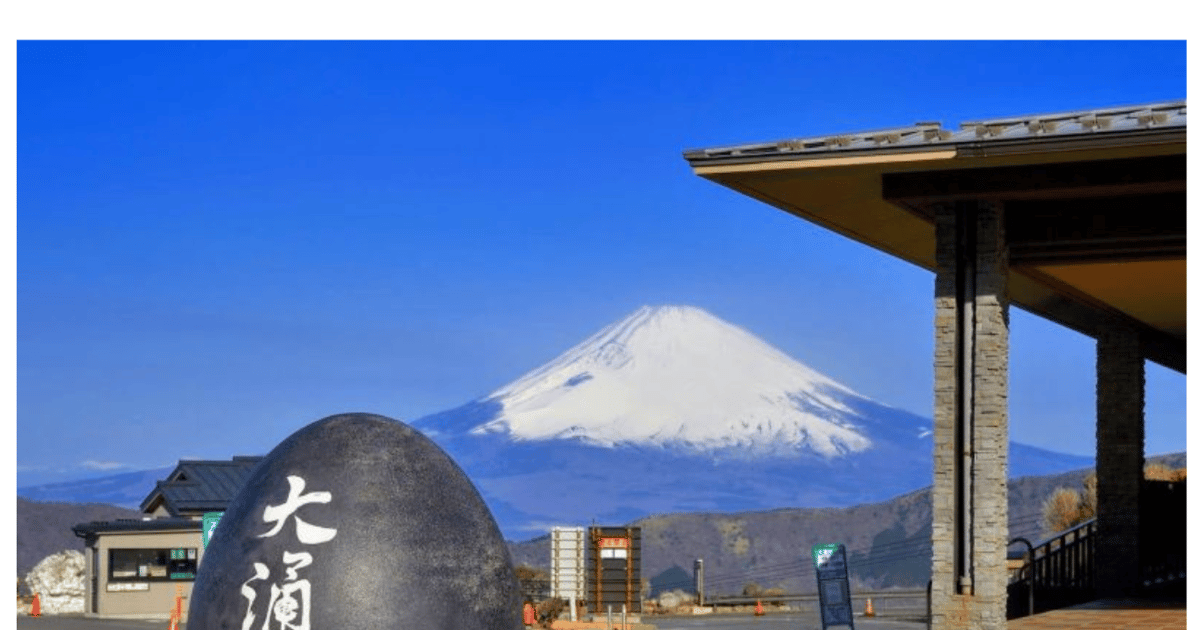 Von Tokio aus private Tagestour zum Berg Fuji und Hakone mit Abholung | GetYourGuide