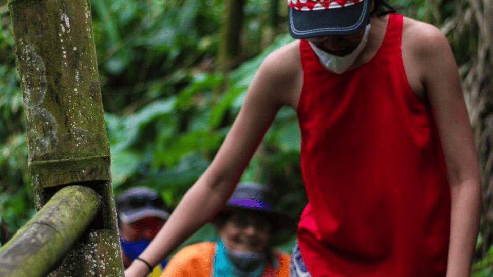 Tour the howler monkey habitat | GetYourGuide