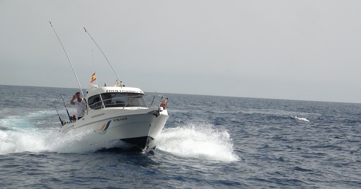 Adeje: experiencia de 3,5 h de pesca profesional | GetYourGuide
