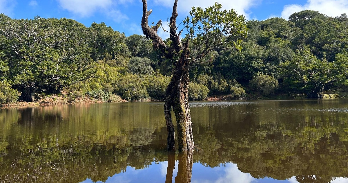 Madeira: Ganztagestour Nordwest 4x4 mit ortskundigem Guide | GetYourGuide
