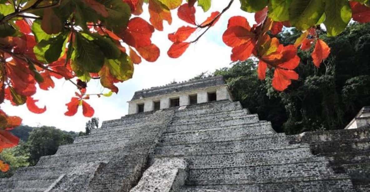 Yacimiento arqueológico de Palenque desde Palenque | GetYourGuide
