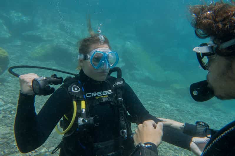 Santa Cruz de Tenerife: introducción al submarinismo PADI | GetYourGuide