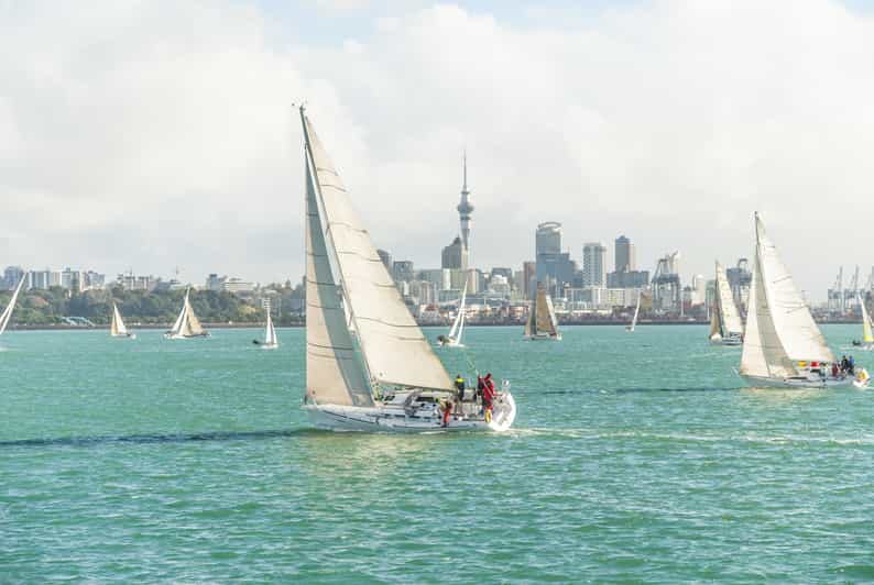 Auckland Scenic Half-Day City Sightseeing Tour | GetYourGuide