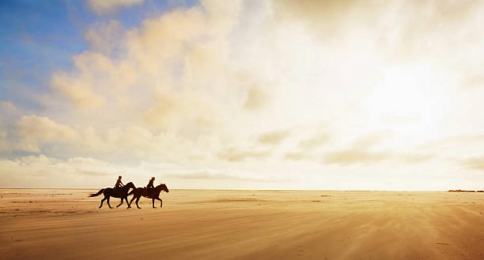 Arabian Horse Ride in Qatar Desert | GetYourGuide