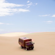 Port Stephens: Unlimited Sandboarding Adventure | GetYourGuide