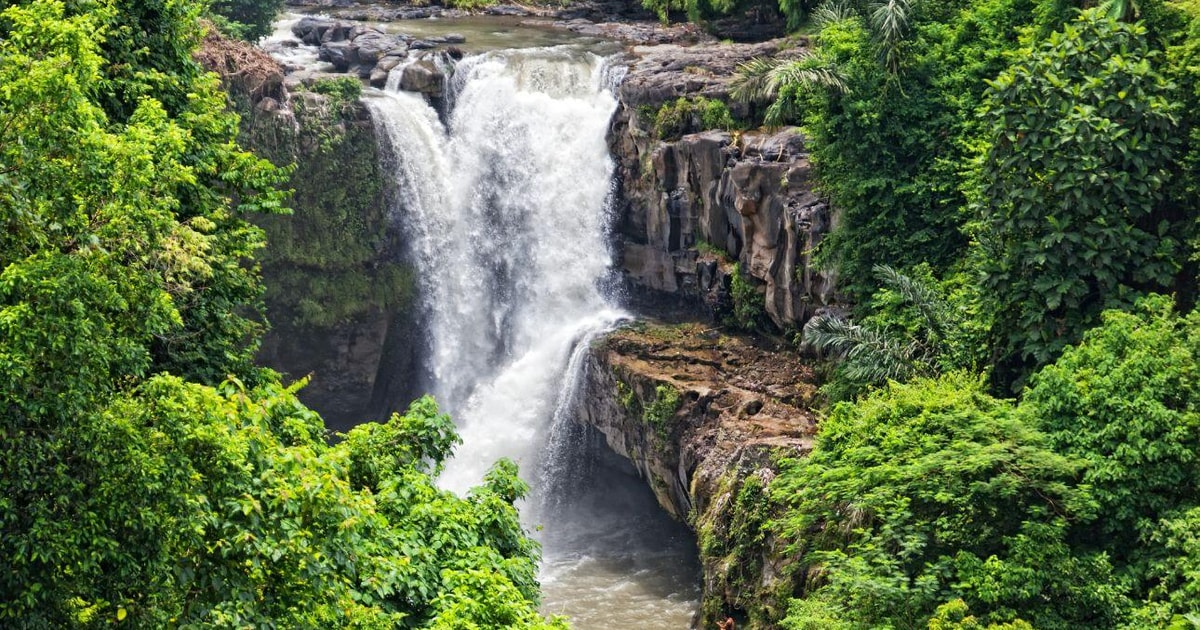 Ubud: Barong Dance, Monkey Forest, and Waterfall Tour | GetYourGuide