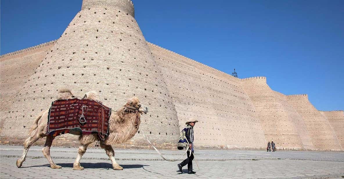 All You Need To Know About Bukhara. A Walk In The Town | GetYourGuide