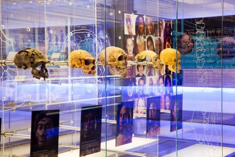 Cradle of Humankind, Gauteng - Book Tickets & Tours | GetYourGuide