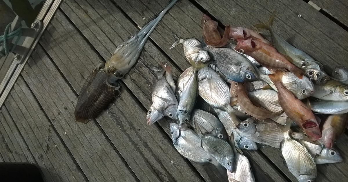 Lagos: Family Fishing Trip | GetYourGuide