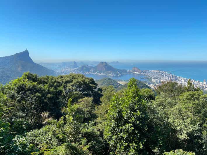 Visita i posti migliori nella foresta di Tijuca - Escursione alle ...