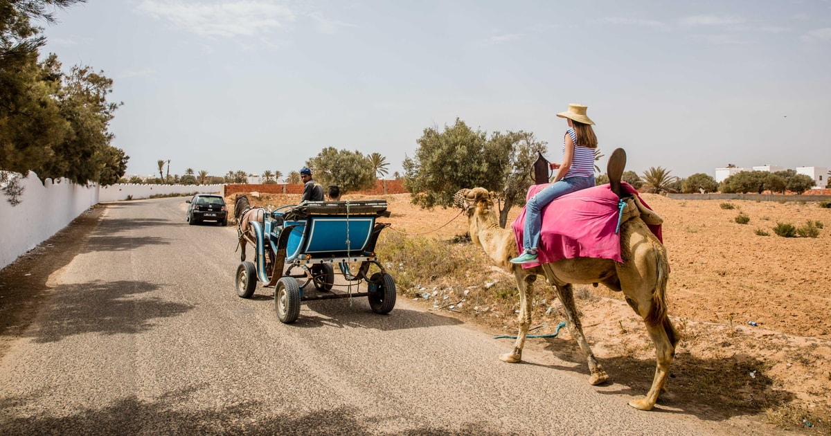 Half-Day Carriage Tour with Grilled Fish Lunch & Swimming | GetYourGuide