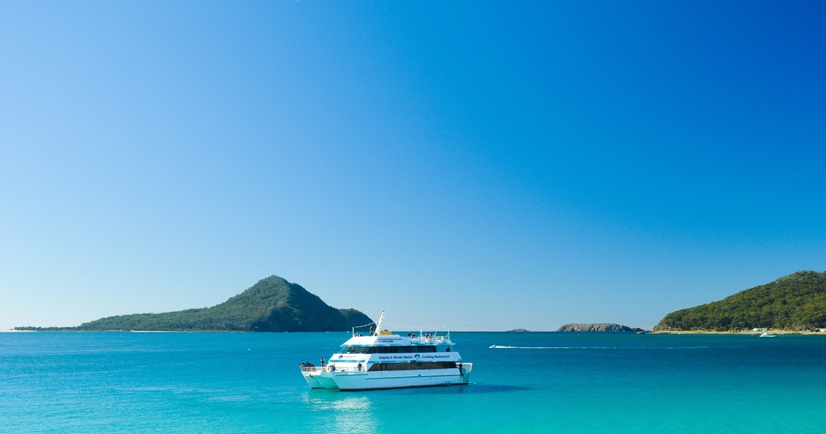 Port Stephens: Crociera con osservazione dei delfini | GetYourGuide