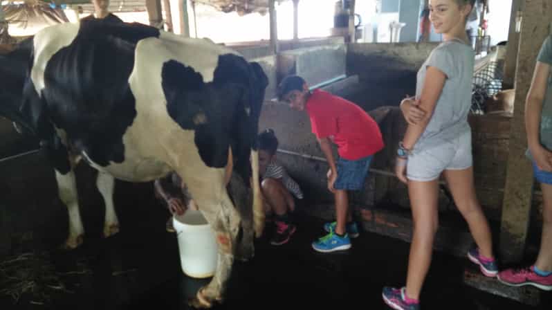 Full-Day Farming & Cooking class at Agricultural Village | GetYourGuide