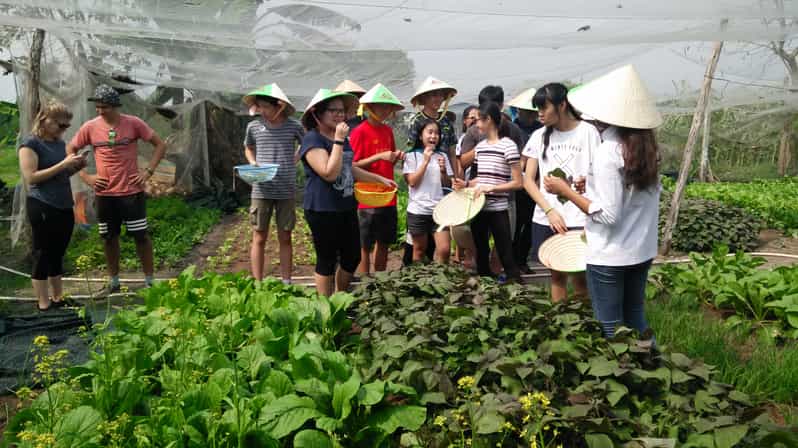 Full-Day Farming & Cooking class at Agricultural Village | GetYourGuide